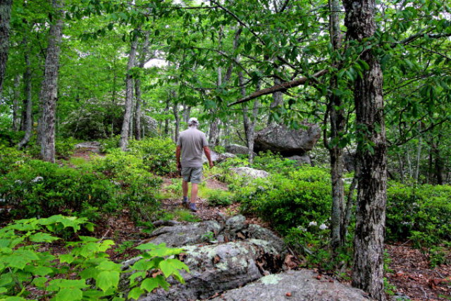 Lots P-1 & 2 Point Lookout Mountain, Grayson County, Virginia - Collins ...