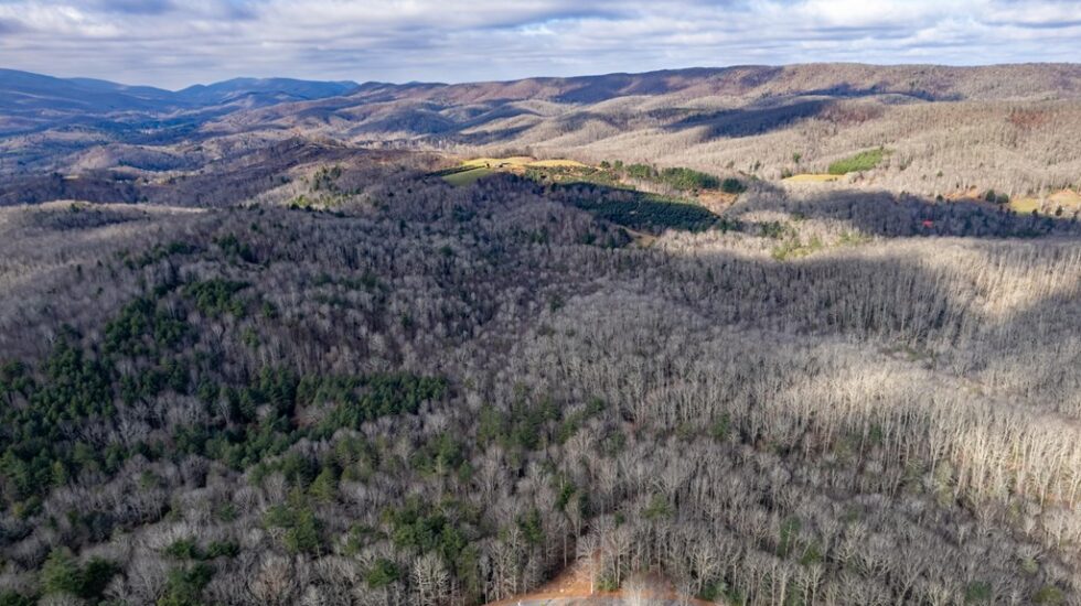 Home & 75 Acres with Stocked Trout Pond in the High Country - Collins ...